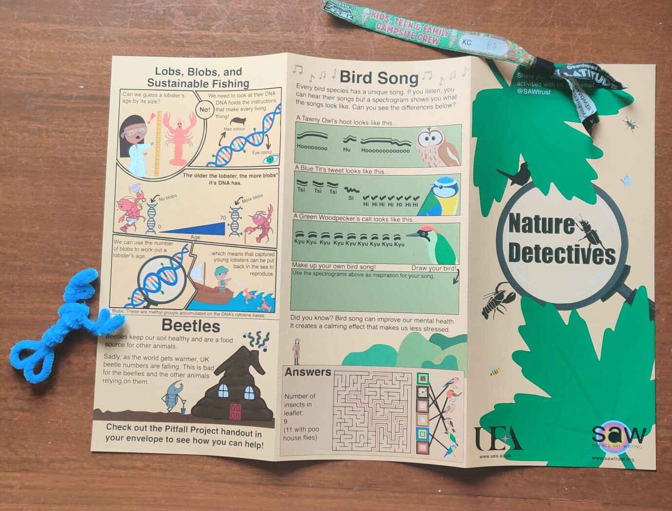 Catching up with Kelly-Rose - The SAW Trust