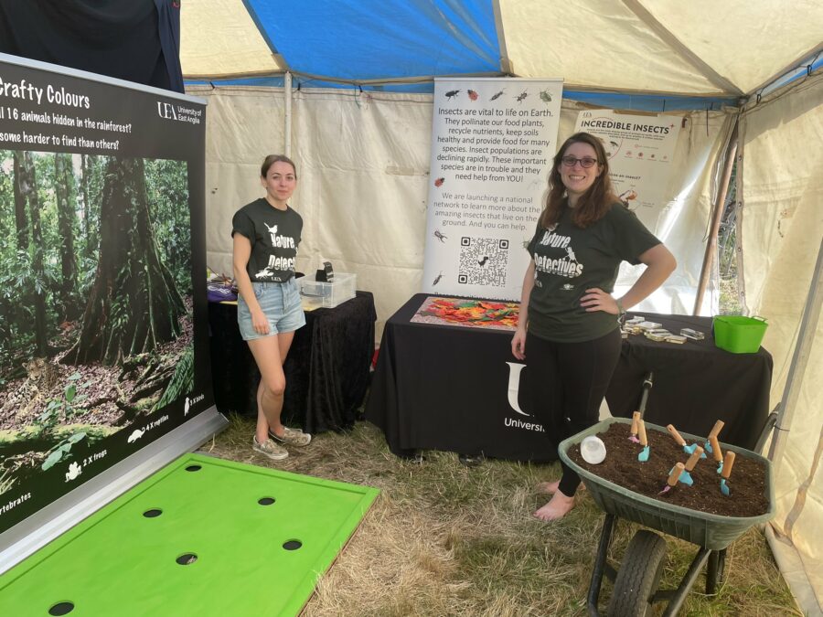Nature Detectives go wild at Latitude - The SAW Trust