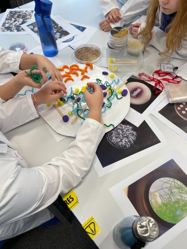 Bacterial Chemical Communication at Barford Primary - The SAW Trust